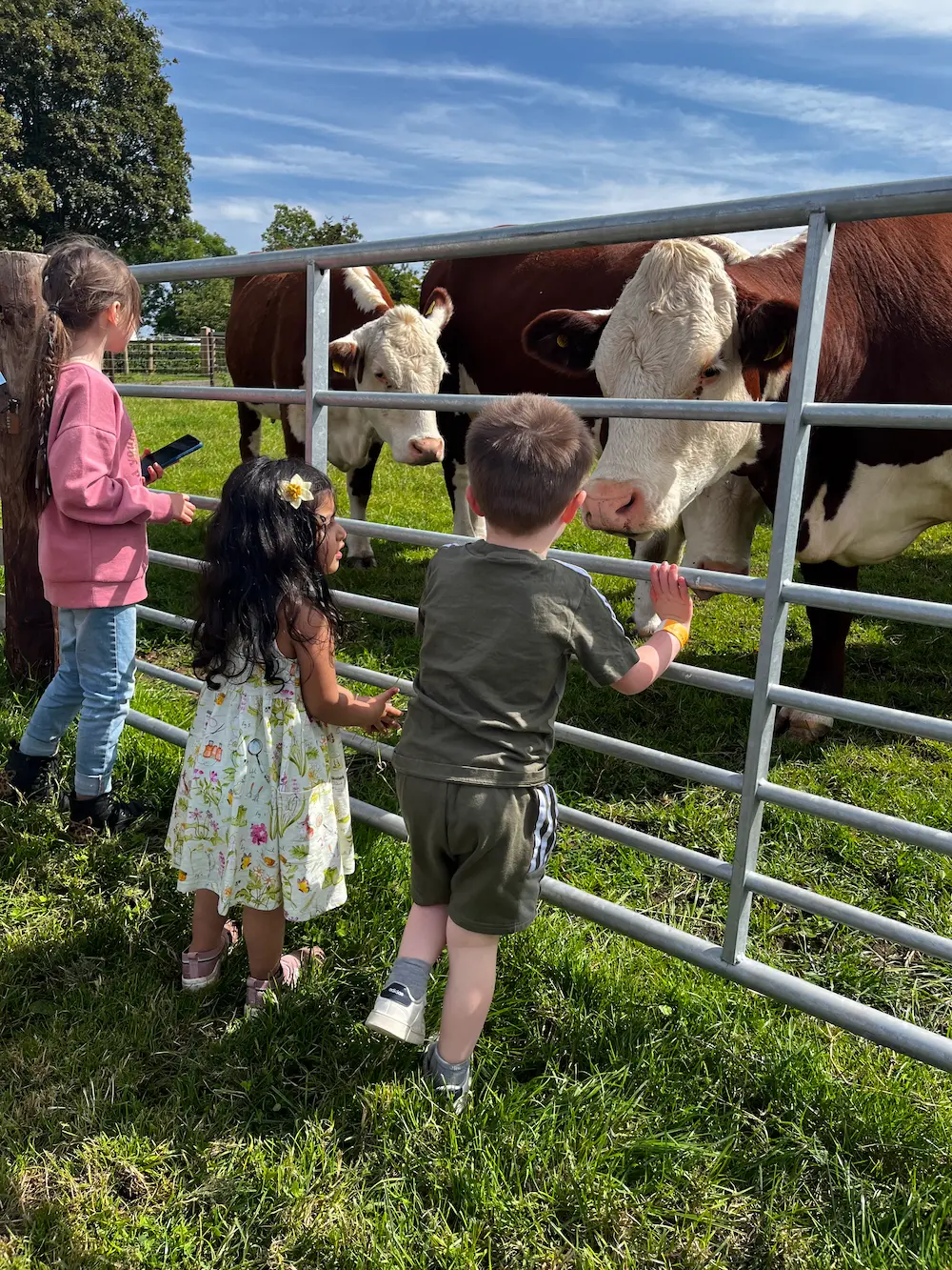 Open Farm Sunday | Churchfields Farm