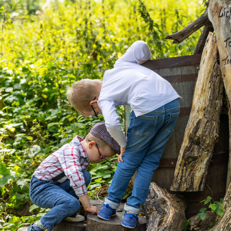 Fun Farm | Churchfields Farm