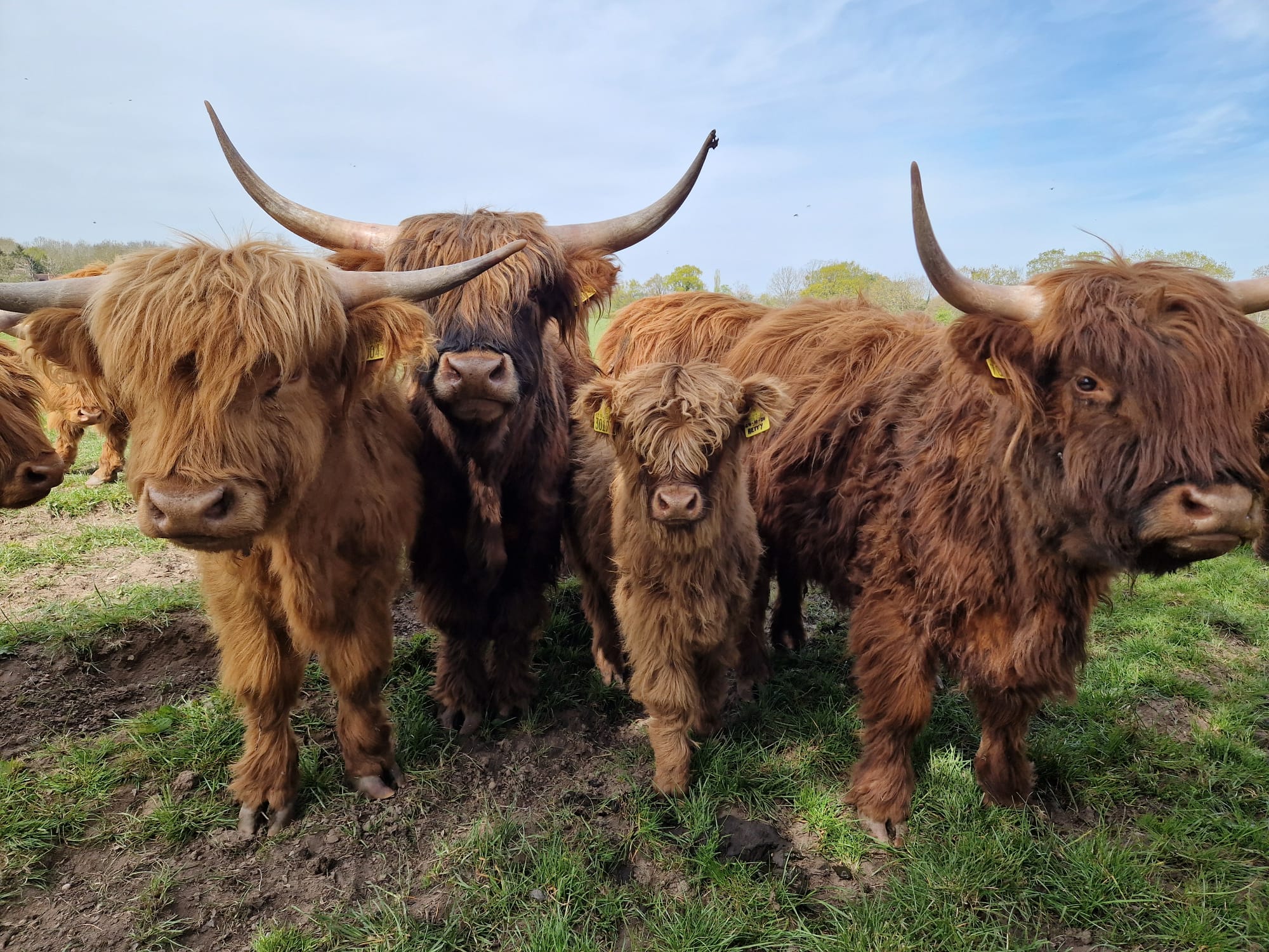 Win a Fathers Day Weekend Family Day Out | Churchfields Farm